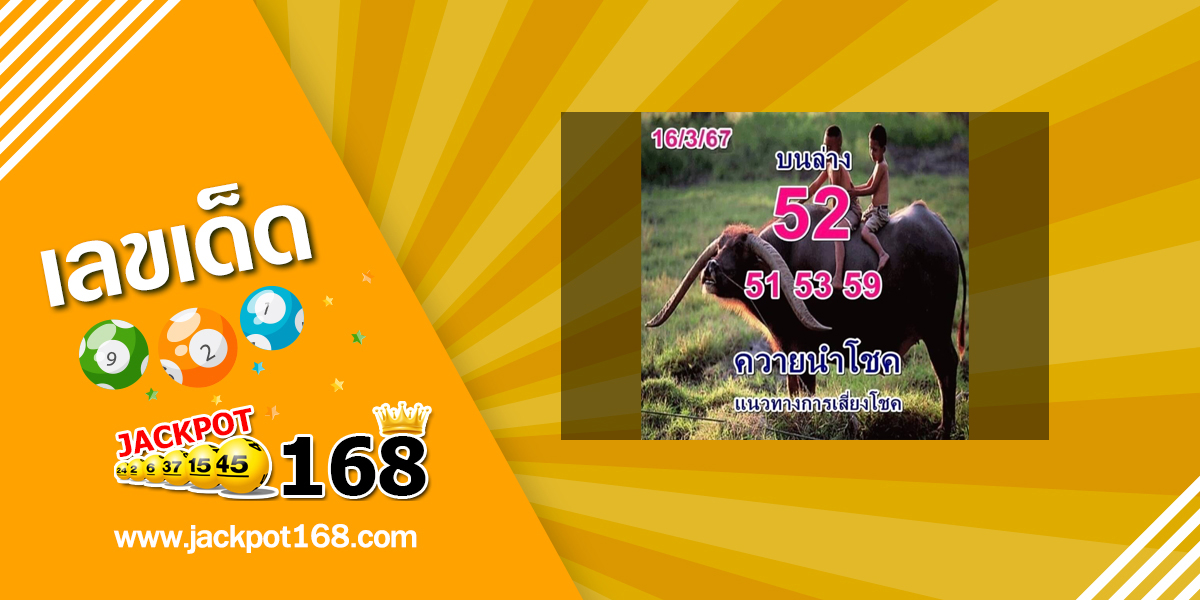 หวยควายนำโชค 16/3/67 เลขดังมาแรง หวยเด่นความนำโชคงวดนี้
